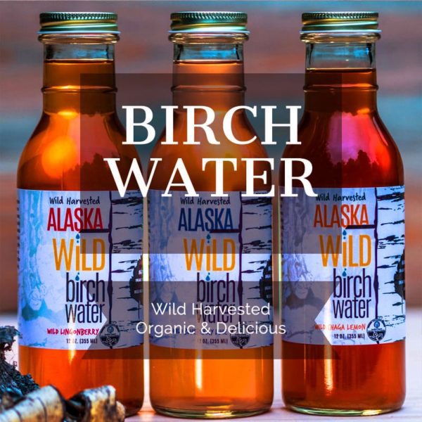 Alaska Birch Syrup and Wild Harvest Products | Birch Water, Chaga, Wild ...