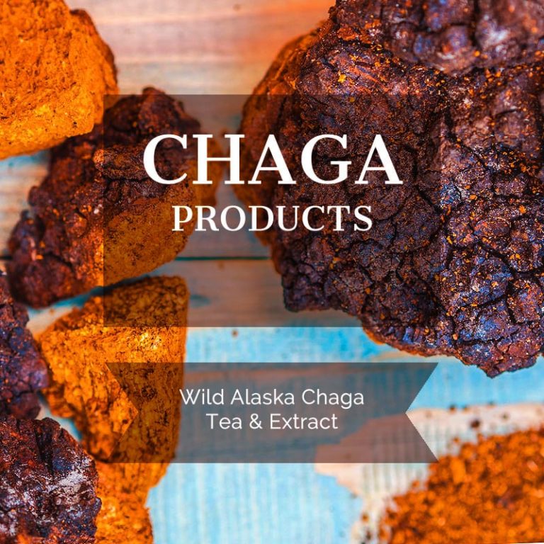 Alaska Birch Syrup and Wild Harvest Products | Birch Water, Chaga, Wild ...