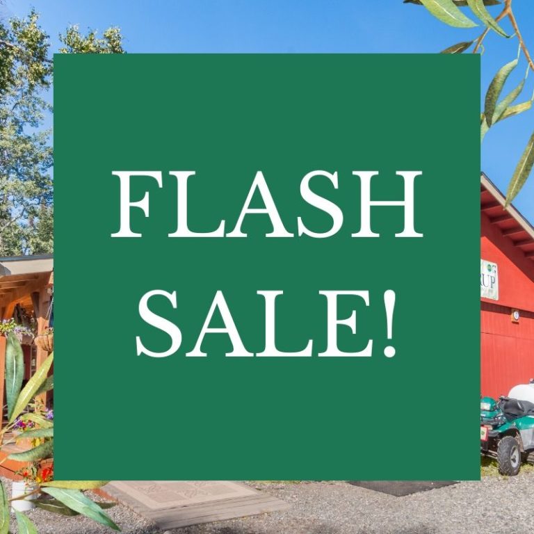 Alaska Birch Syrup and Wild Harvest Products | Birch Water, Chaga, Wild ...